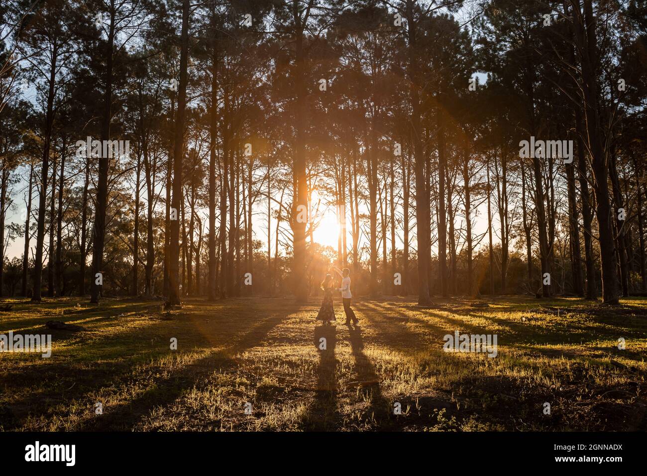 couple dancing in pine forest, north of Perth Western Australia Stock ...