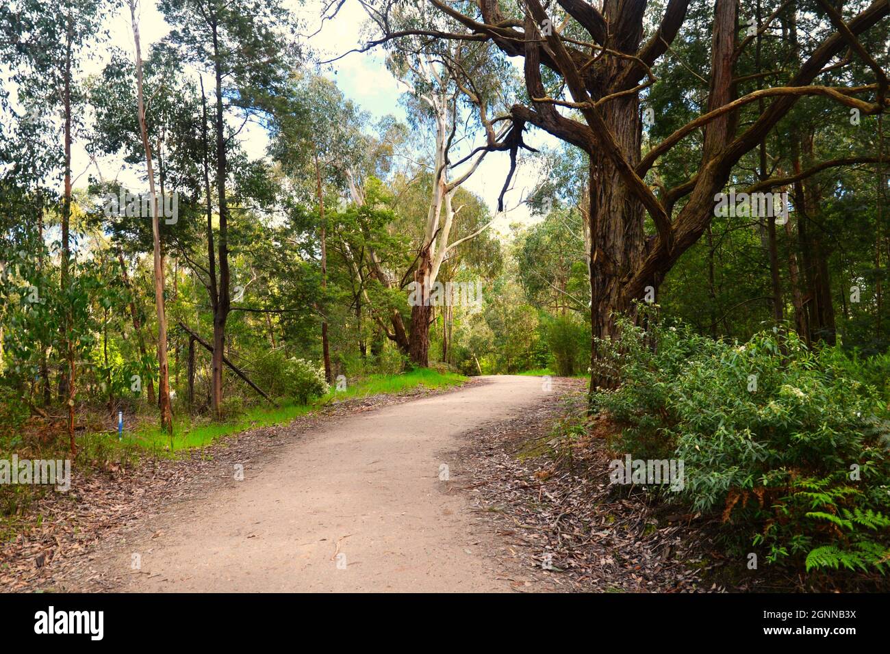 Rail Trail Path Stock Photo - Alamy