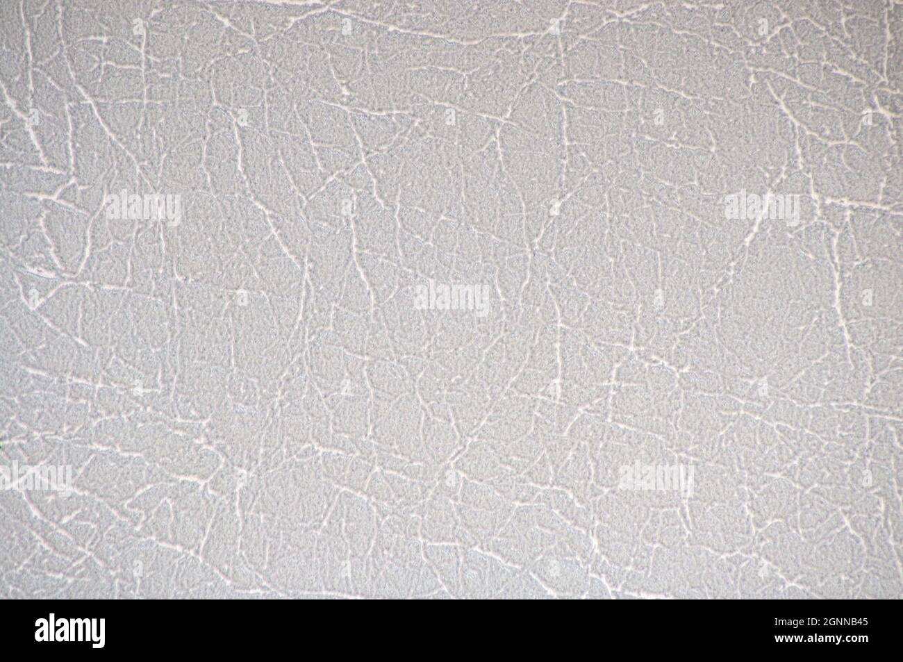 Natural light gray skin with deep wrinkles and close-up folds ...