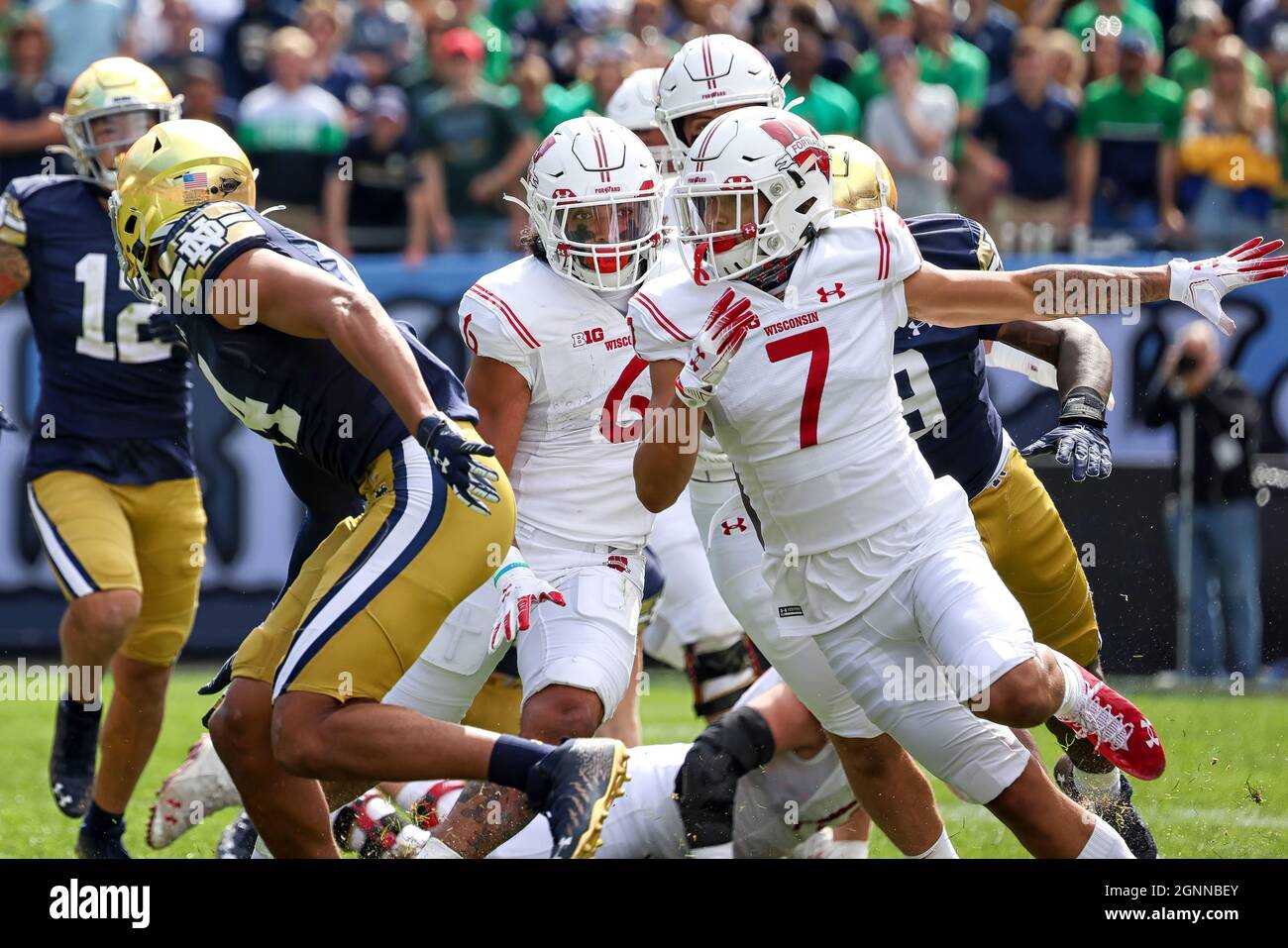 Shamrock iii hi-res stock photography and images - Alamy