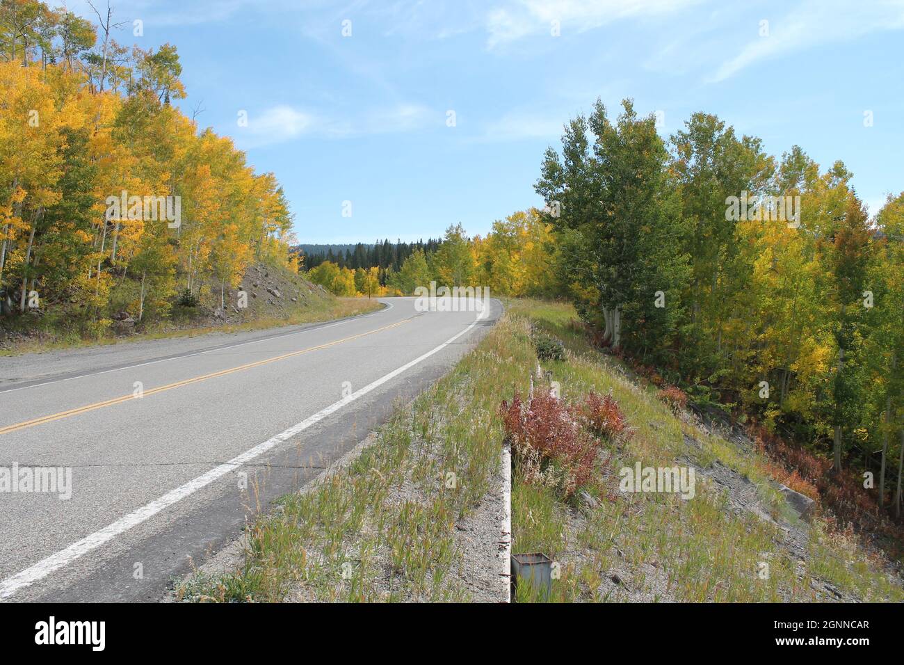 Grand Mesa National Forest Colorado. Fall forest colors on the largest ...