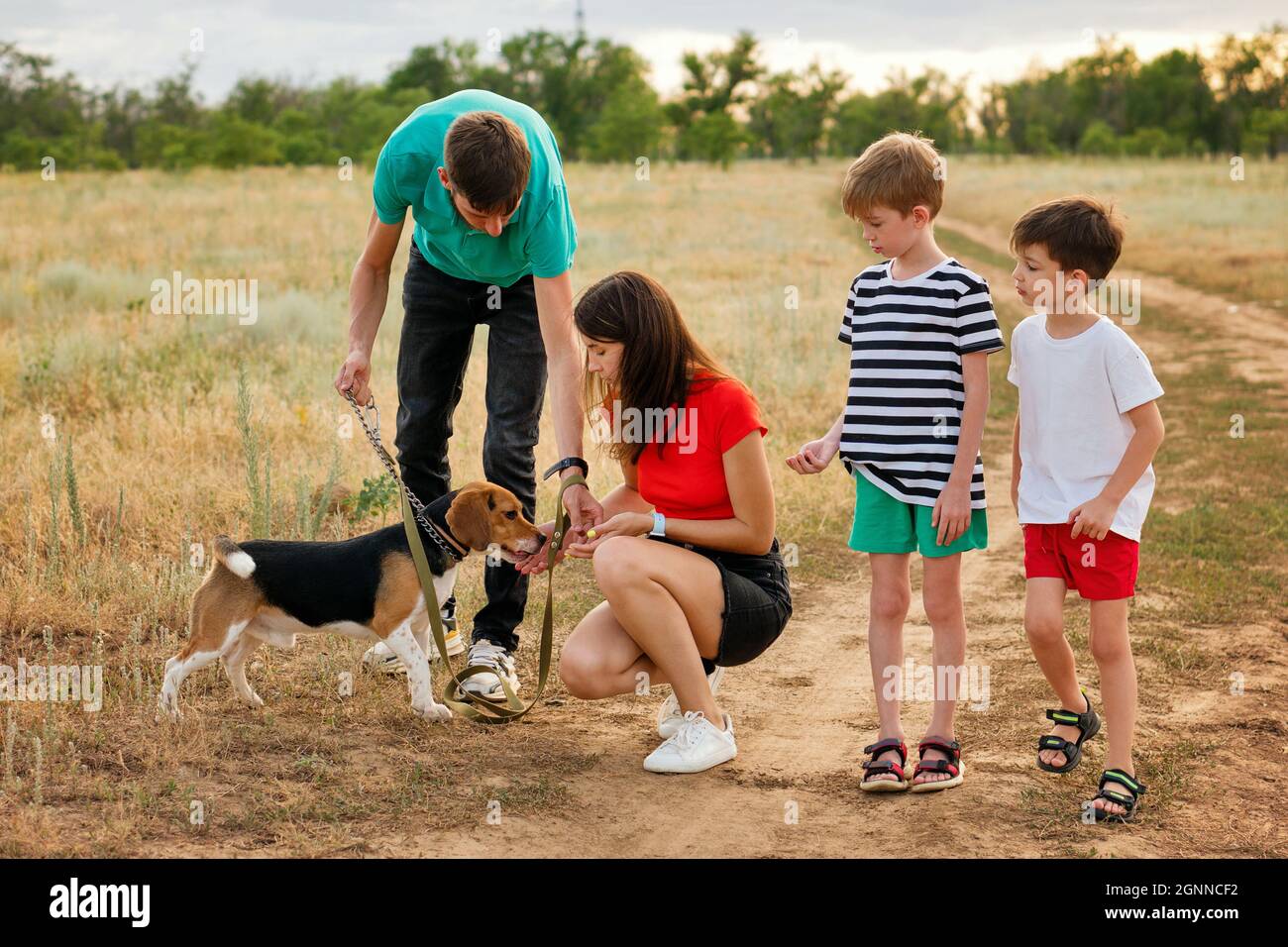 Woman feeds from palm hi-res stock photography and images - Alamy