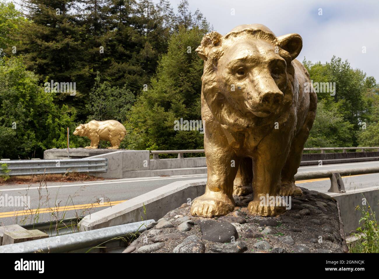 California grizzly bear hi-res stock photography and images - Alamy
