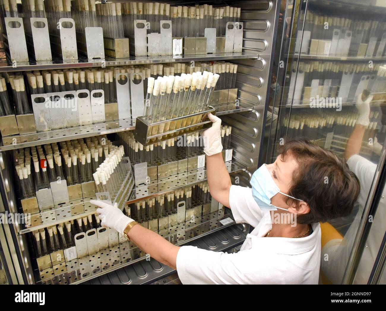 Fungal skin infections hi-res stock photography and images - Alamy