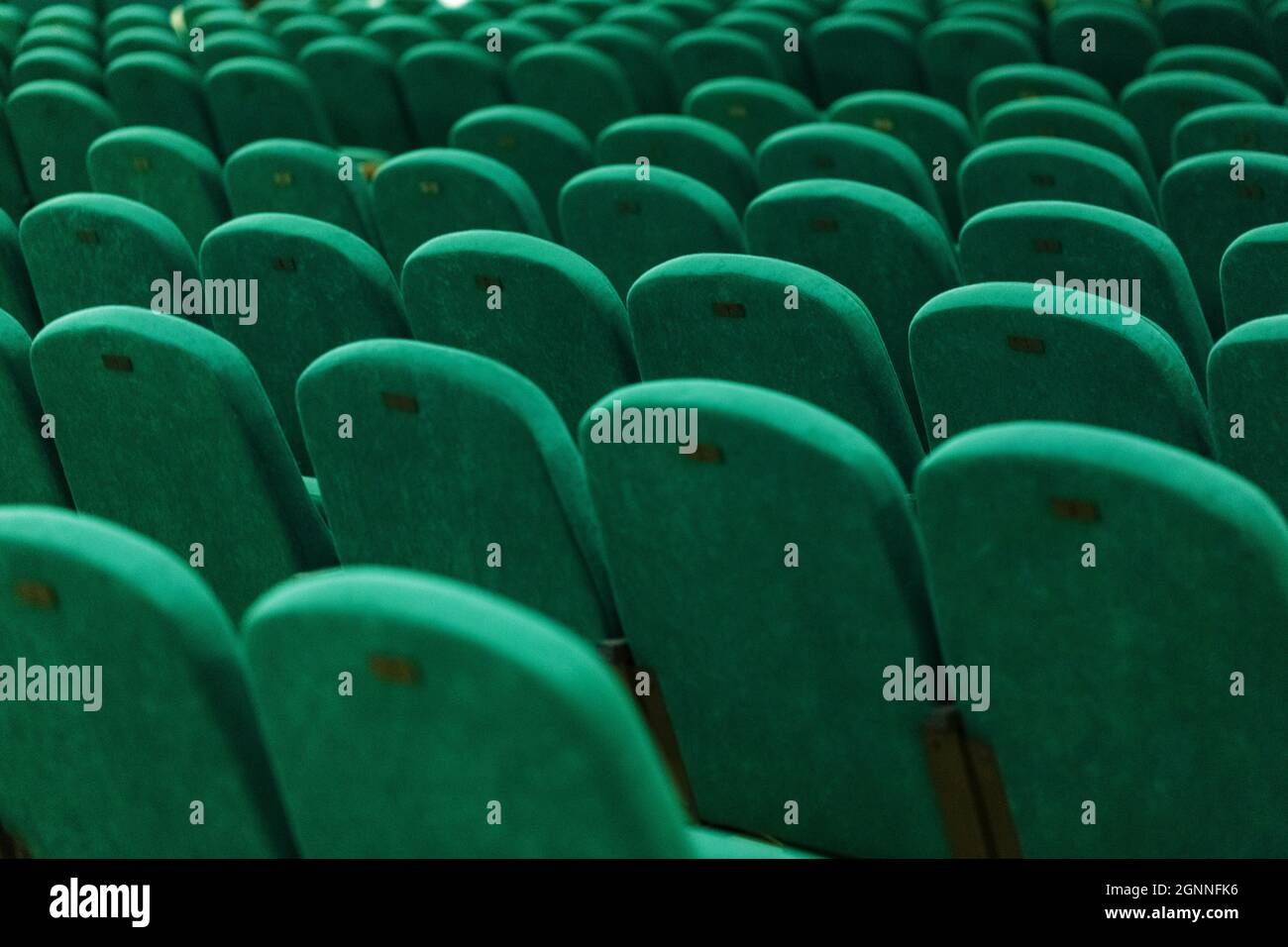 Classic rows of empty green seats in the theater. Hall without visitors ...