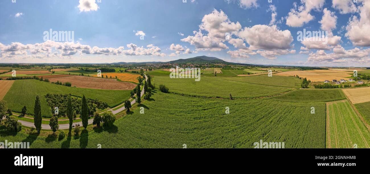 Aerial view of agricultural and green fields in countryside. Nature ...
