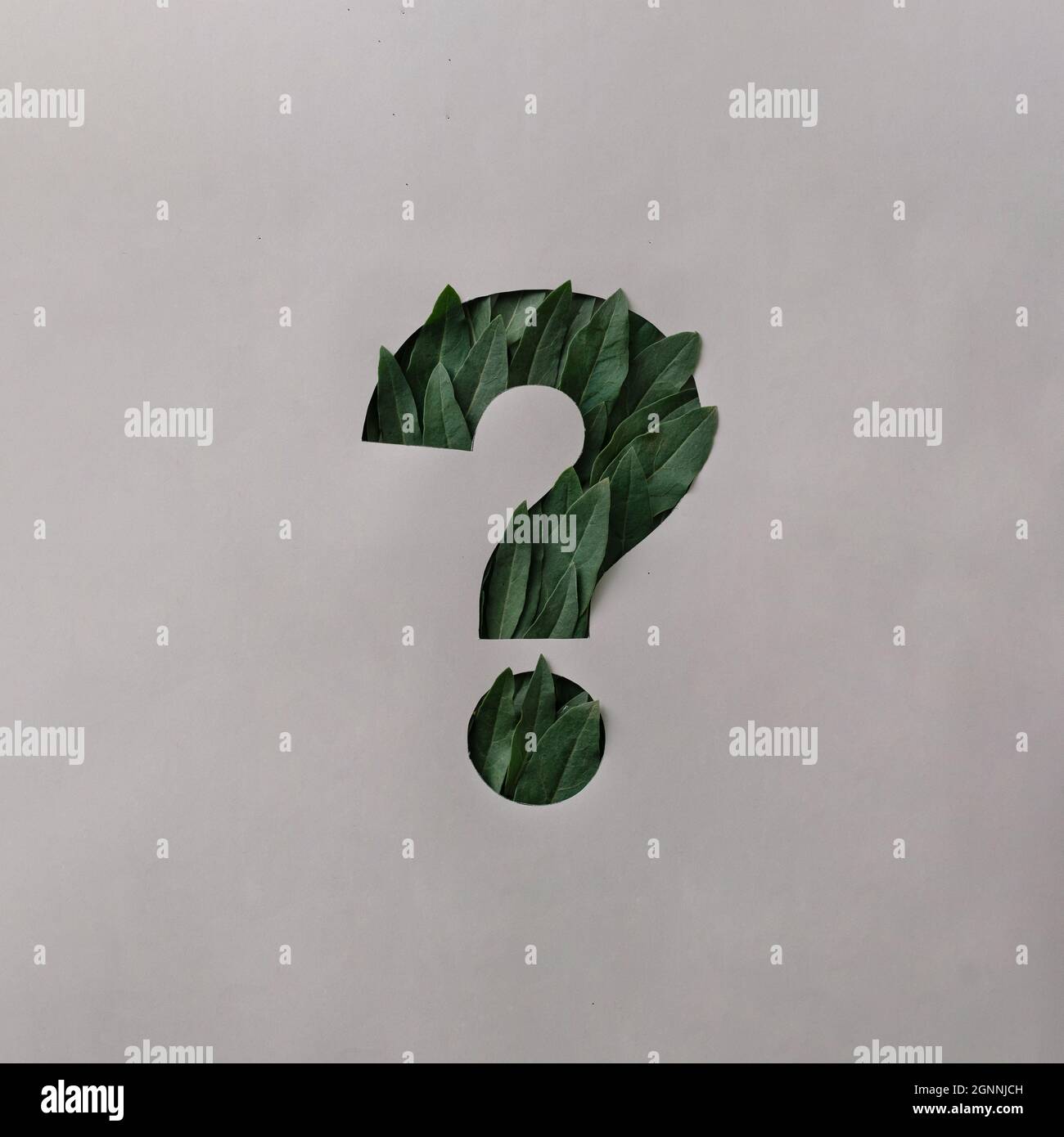 Question mark cut out of grey paper with fresh green leaves protruding ...