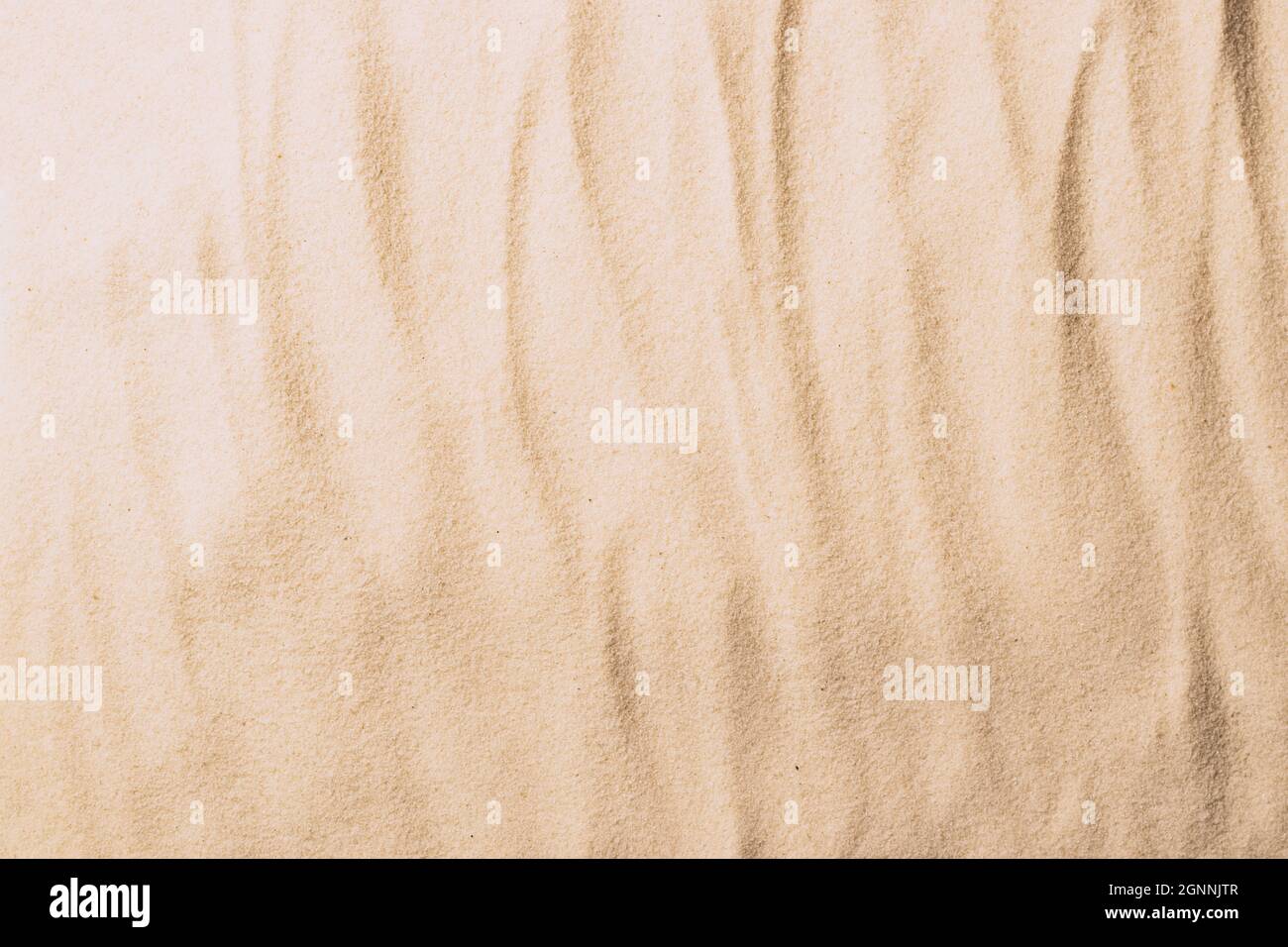 Abstract sand texture. Natural sandy background for product ...