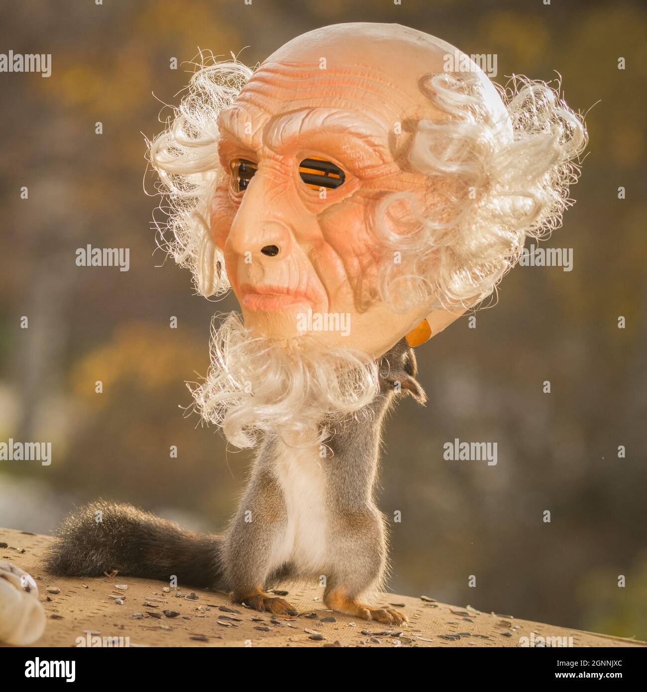 Man bad back funny hi-res stock photography and images - Alamy