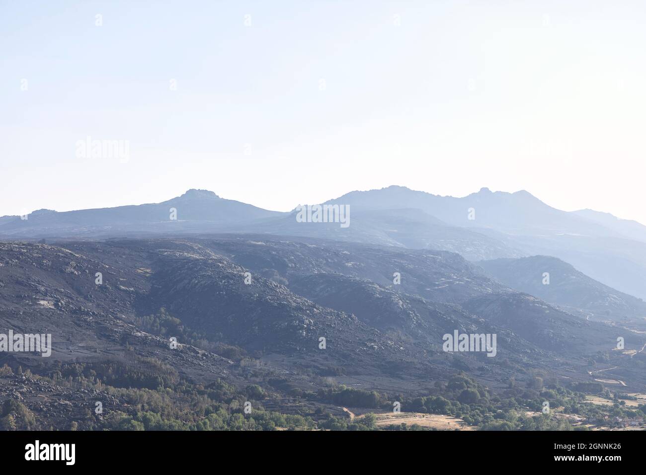 Landscape burned by a forest fire. Image blurred by smoke on the ...