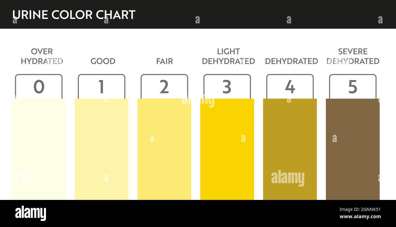 Urine color chart. Pee hydration and dehydration test strip. Vector ...