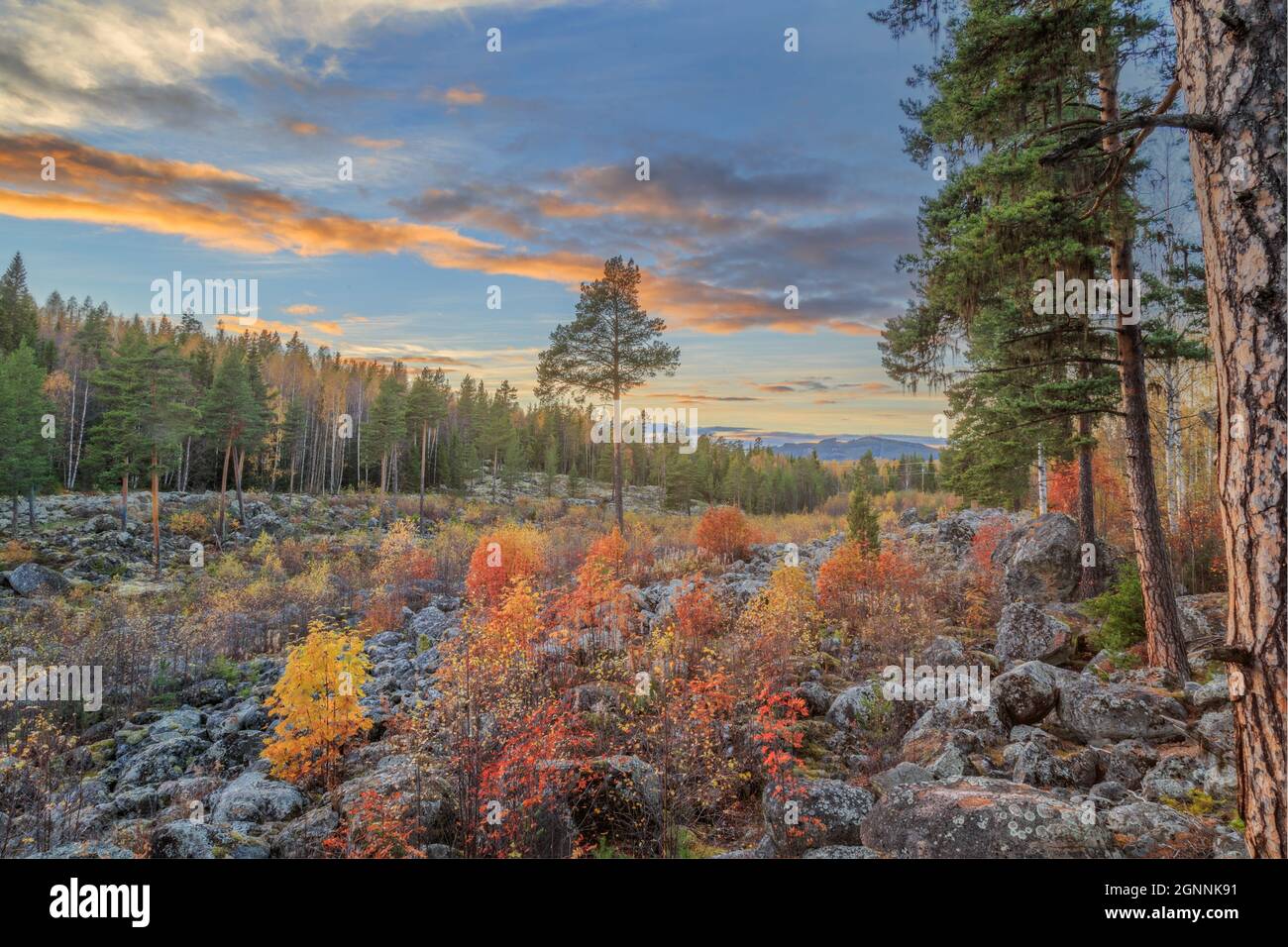 landscape with water, rocks ,trees and moss during sundown Stock Photo ...