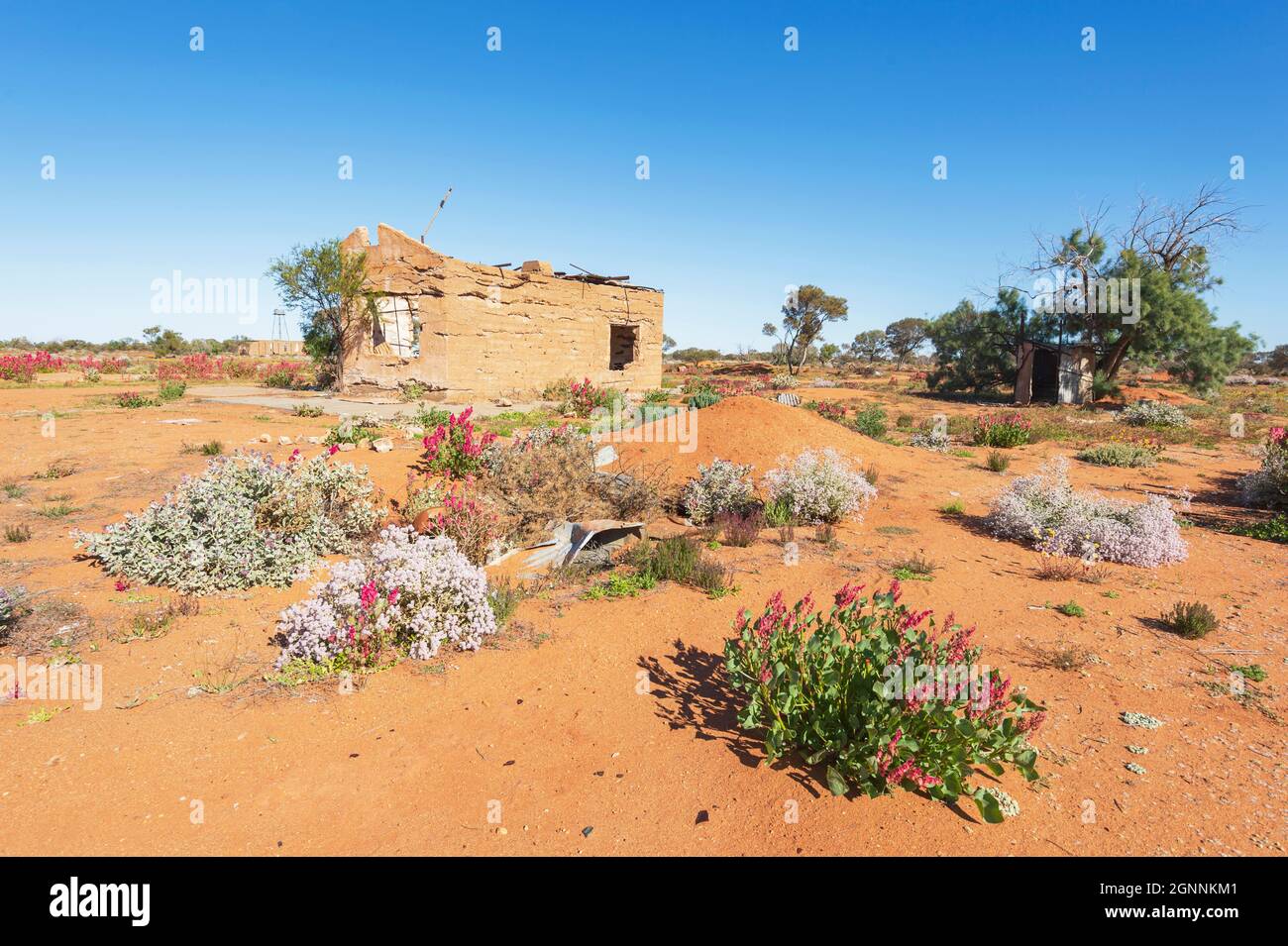 Ruins of Big Bell township, a gold mining ghost town near the small ...