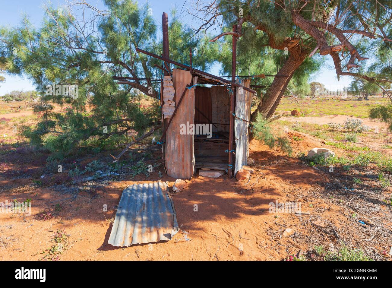 Bush Dunny in the Ruined Big Bell township, a gold mining ghost town ...