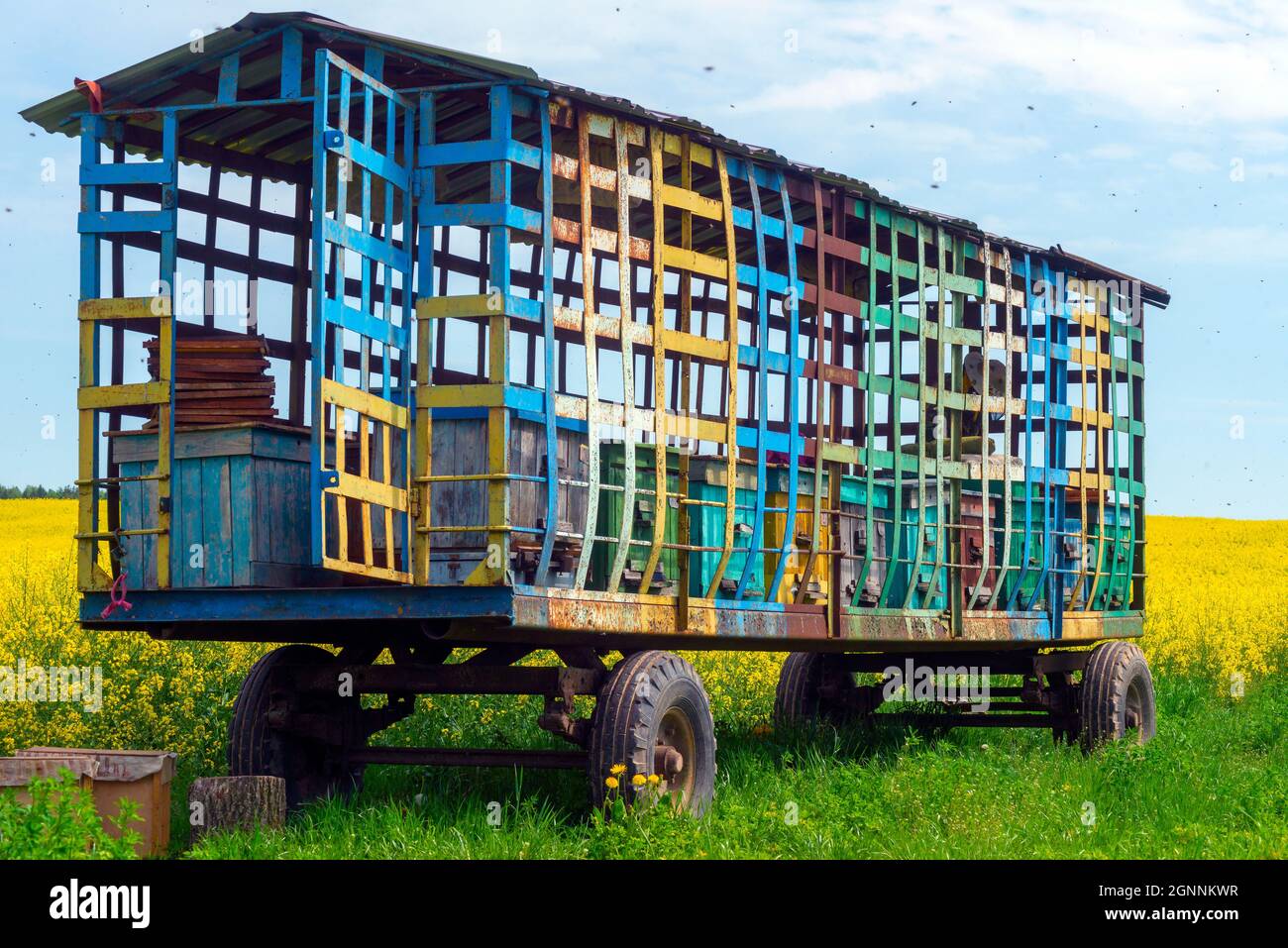 bee hives stand on field Stock Photo - Alamy