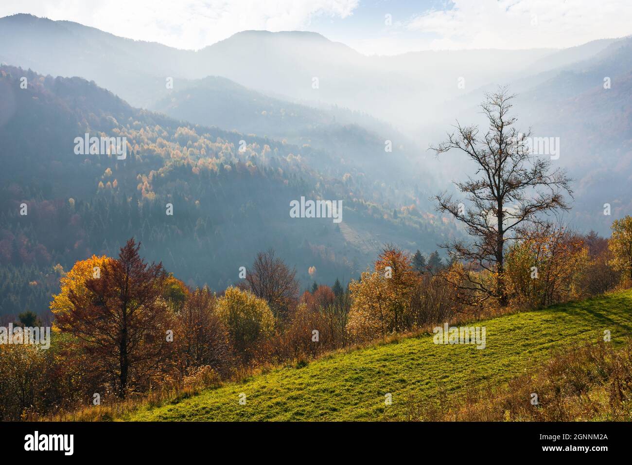 mountainous countryside landscape in autumn. trees on the hill in ...