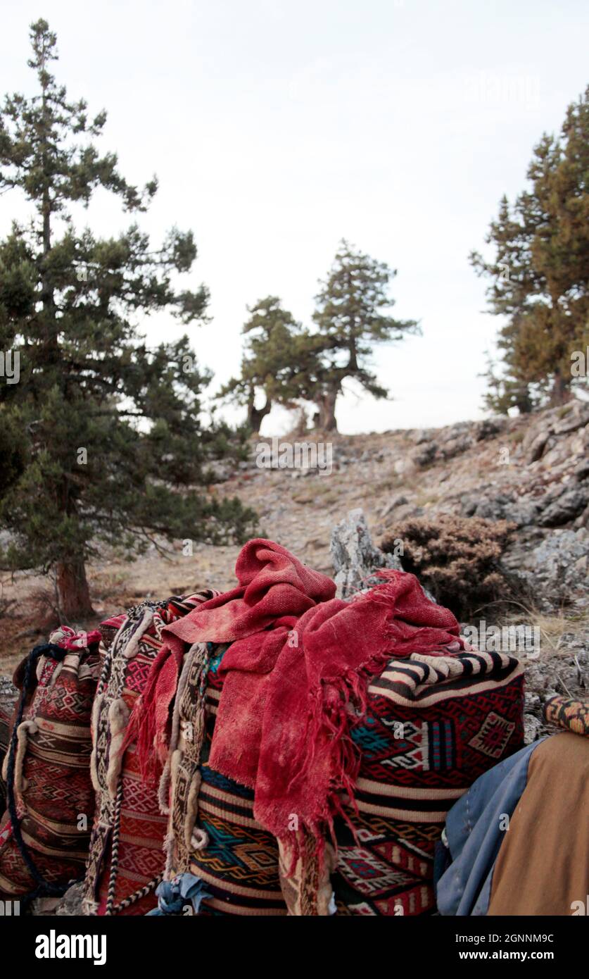 Sacks of wool hi-res stock photography and images - Alamy