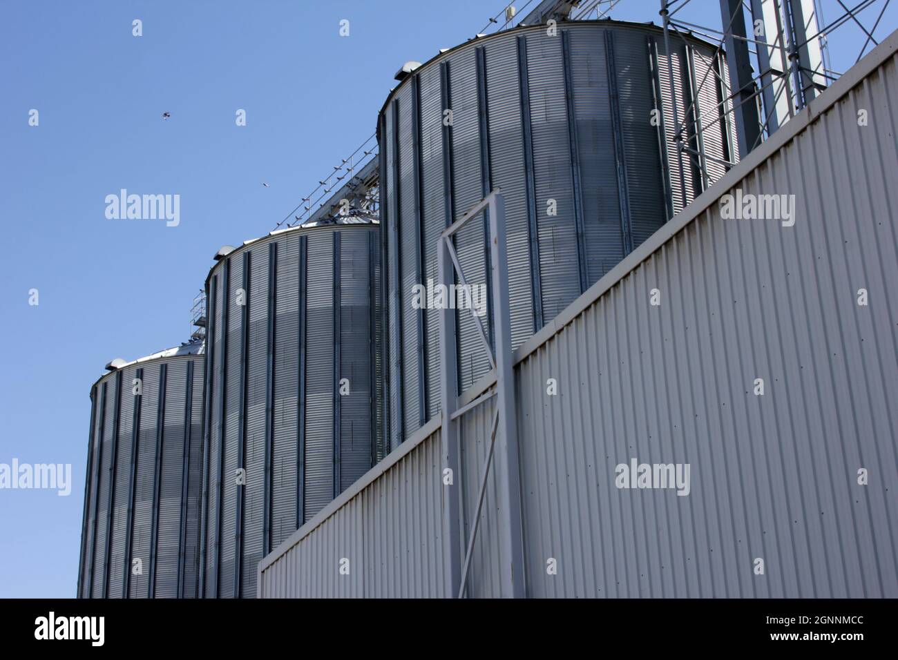 Industrial food and grain storage. Stainless steel tanks Stock Photo ...