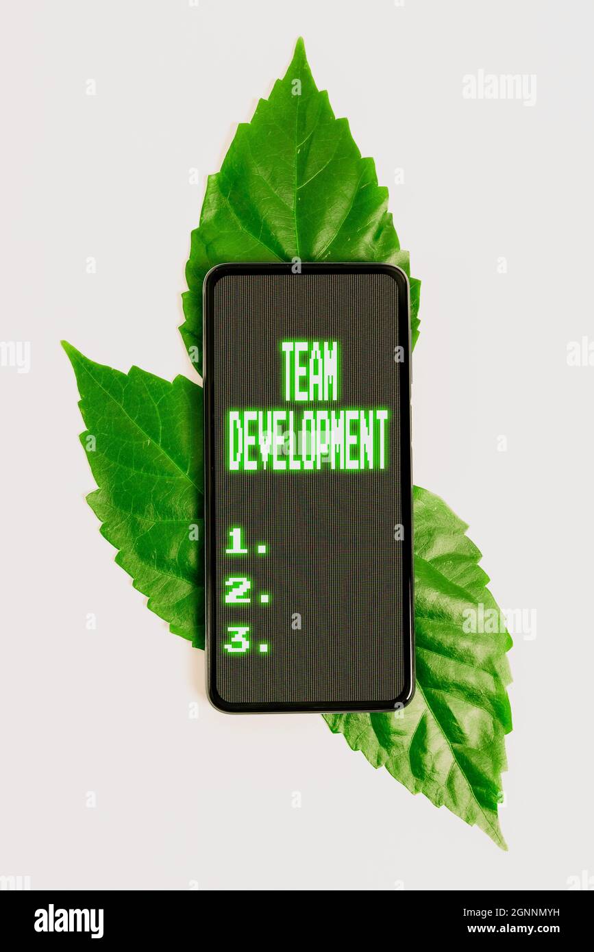 Text caption presenting Team Development. Business idea learn why and ...