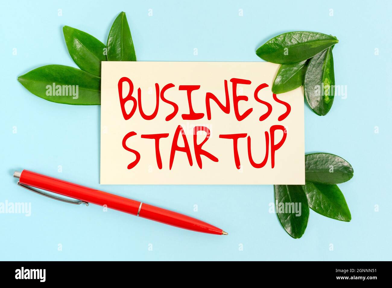 Writing displaying text Business Startup. Business concept Putting up ...