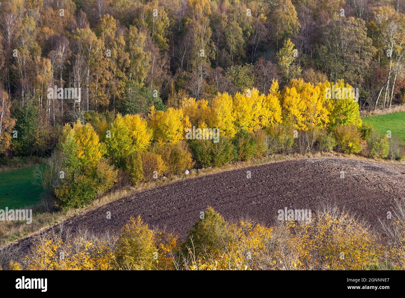 Rural landscape in autumn colors Stock Photo - Alamy