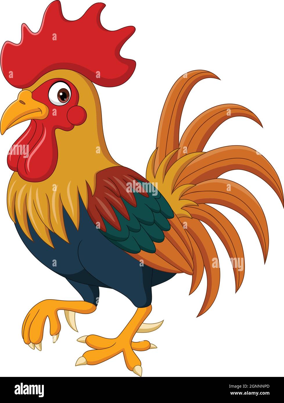 Cartoon funny rooster on white background Stock Vector Image & Art - Alamy