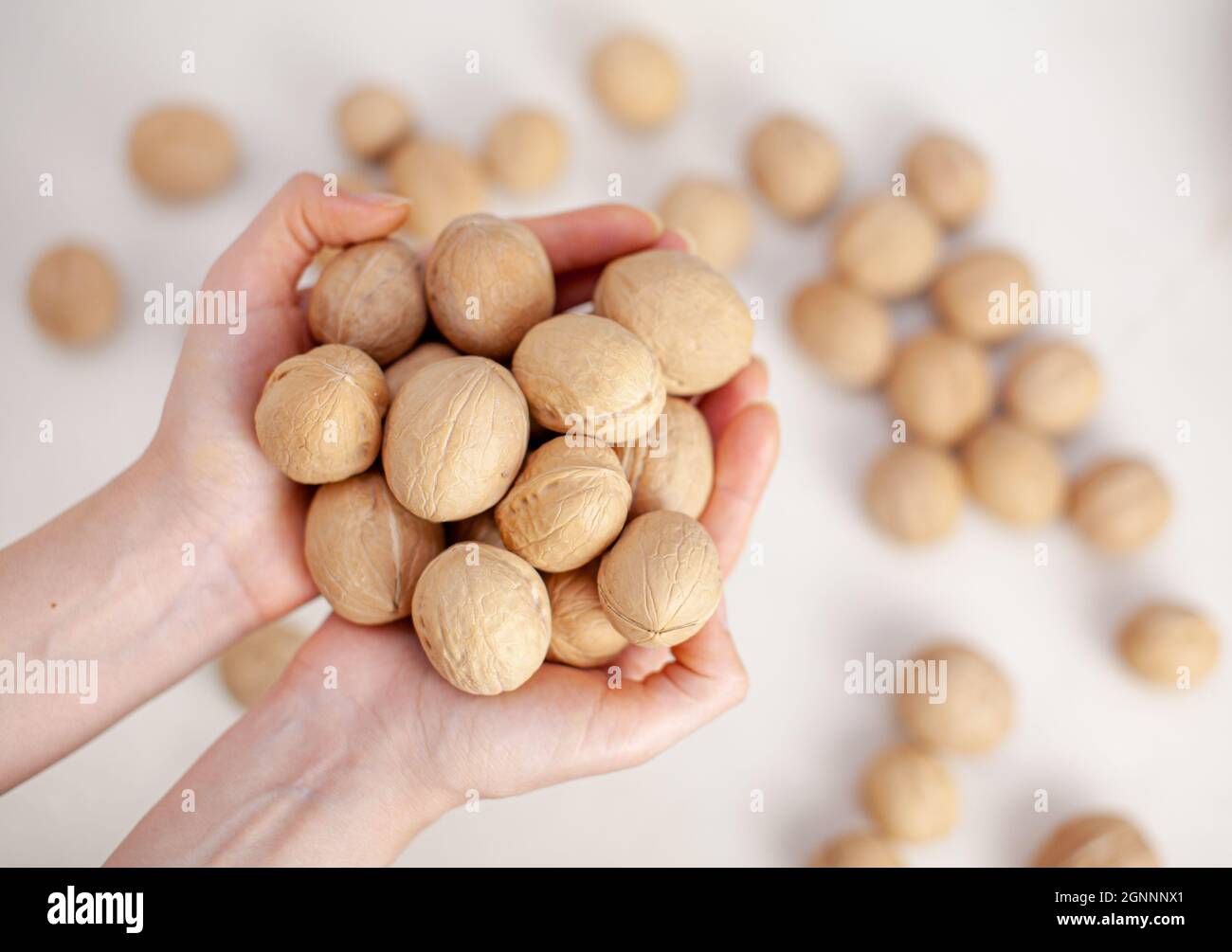 Lots of whole walnuts in women's hands close-up. Healthy, organic food ...