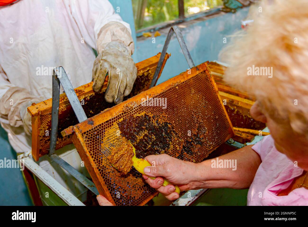 Cell extraction team hi-res stock photography and images - Alamy