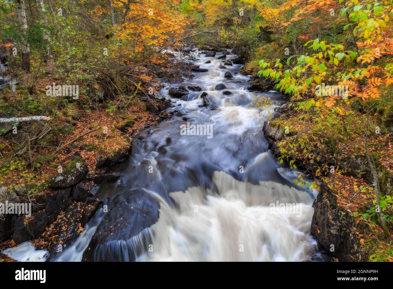 waterfall with trees and rocks in autumn Stock Photo - Alamy