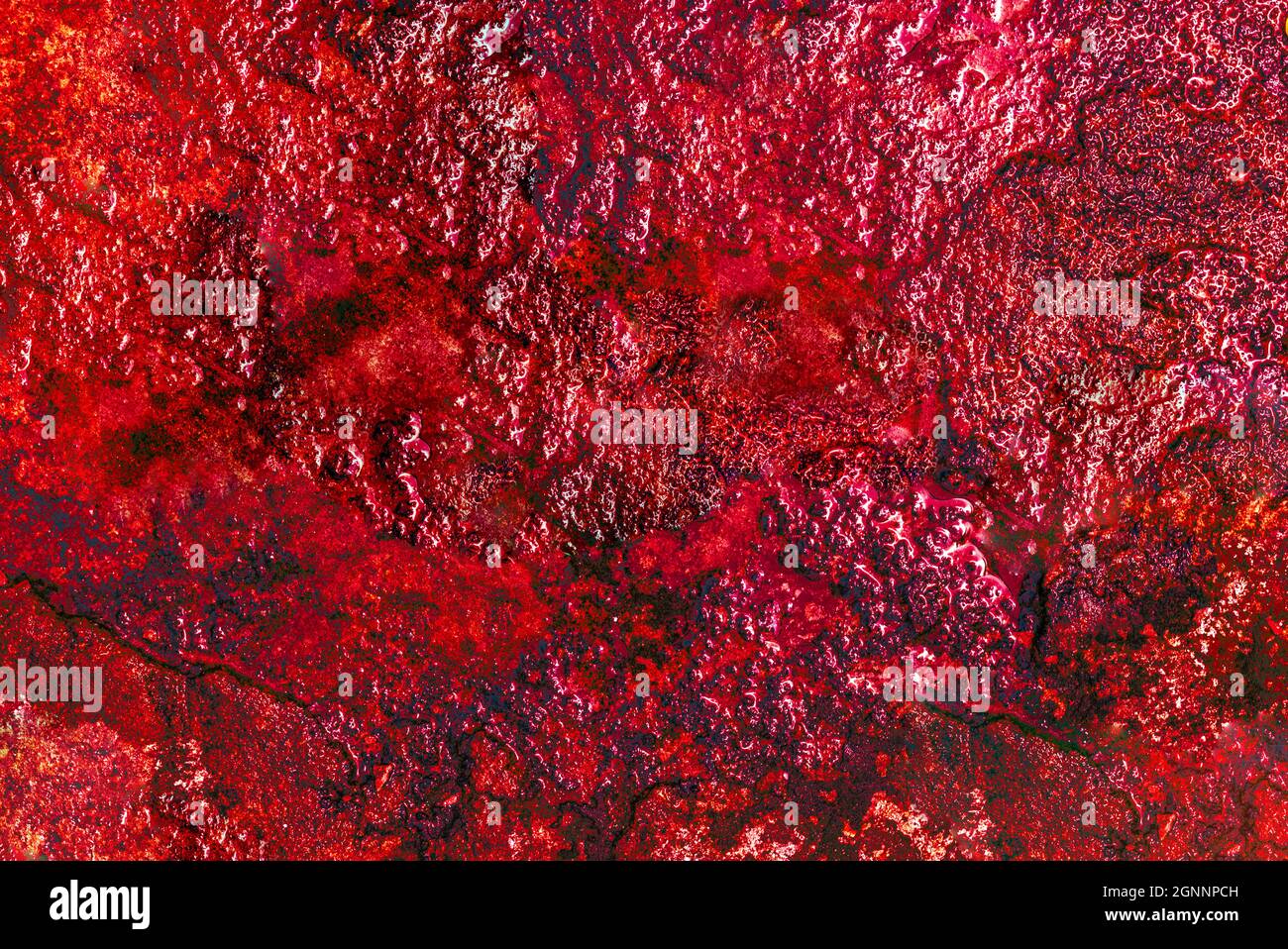 Bloody Floor Texture