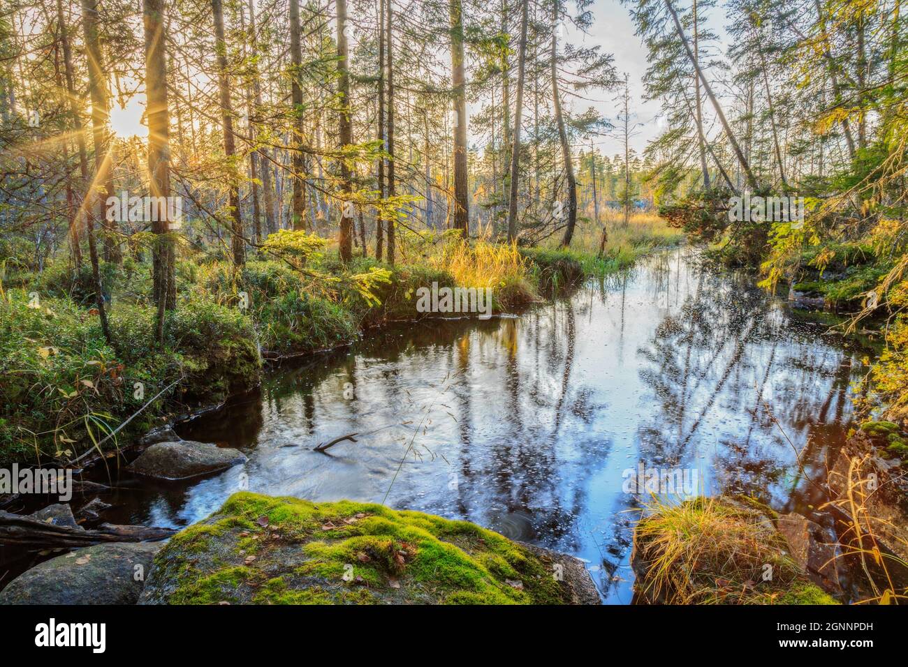 Stream and flares hi-res stock photography and images - Alamy