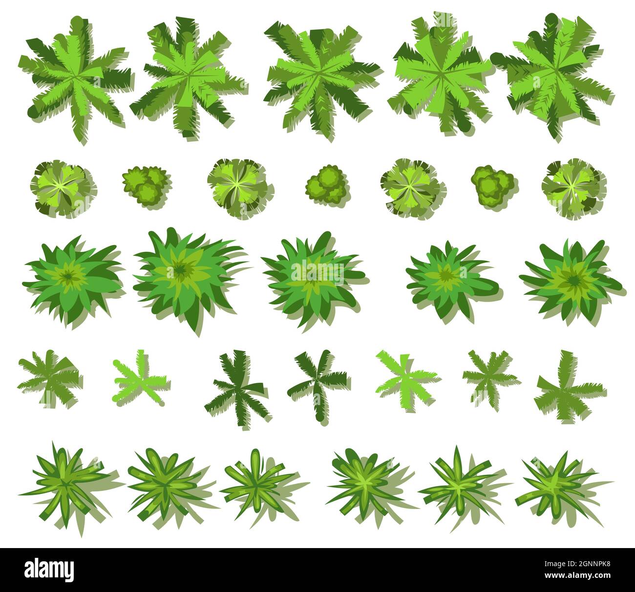 A set of trees and bushes. Palm. View from above. Height. Plant ...