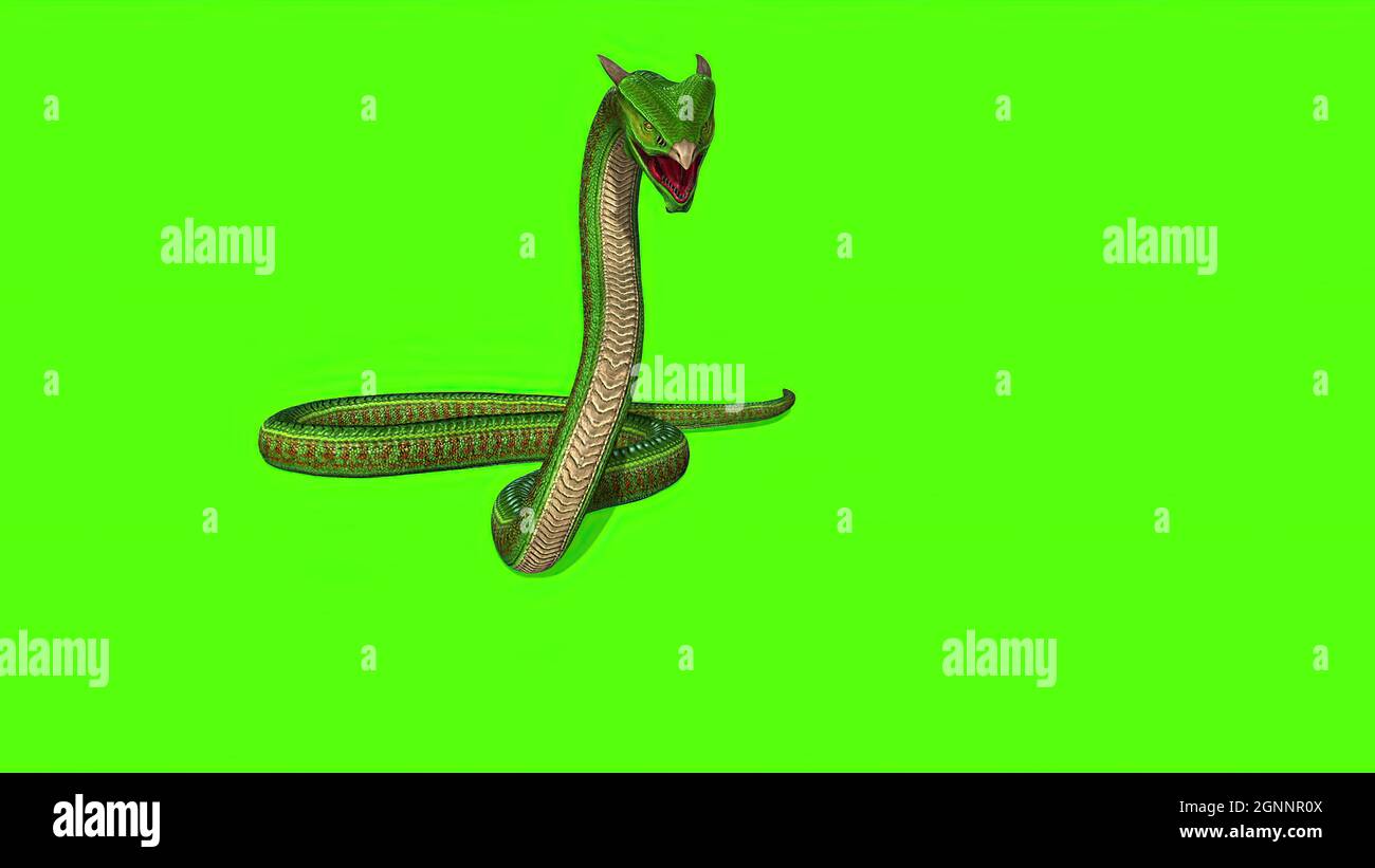 3d illustration - Snake Python on Green Screen background Stock Photo ...
