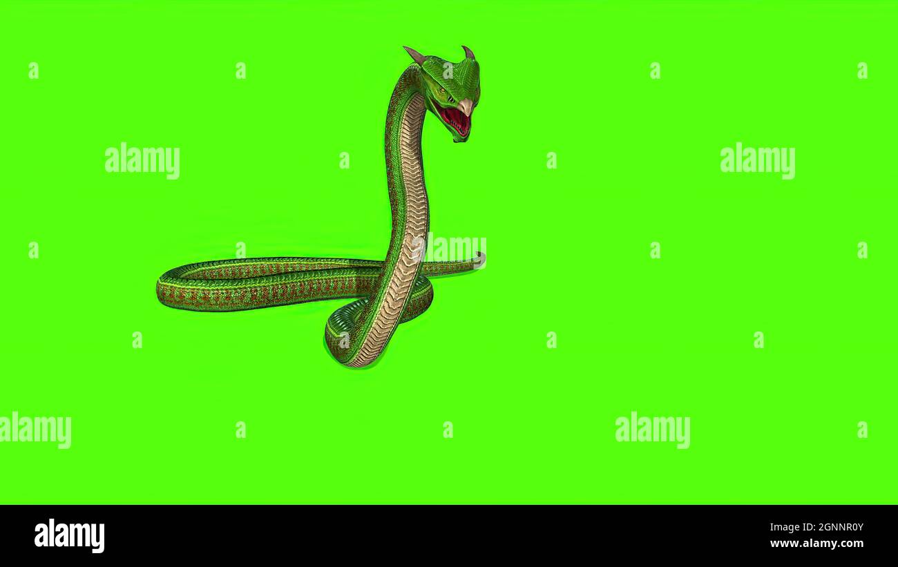3d illustration - Snake Python on Green Screen background Stock Photo ...