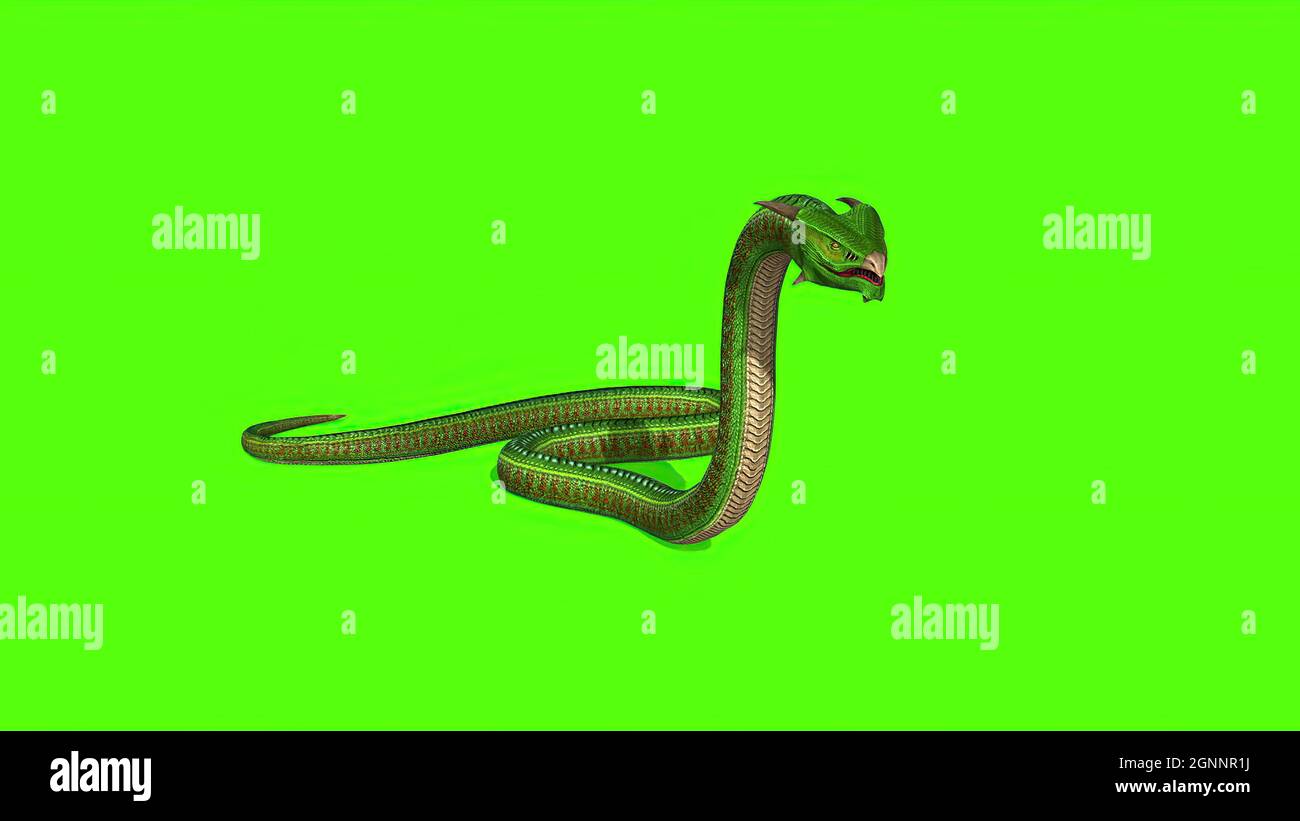 3d illustration - Snake Python on Green Screen background Stock Photo ...