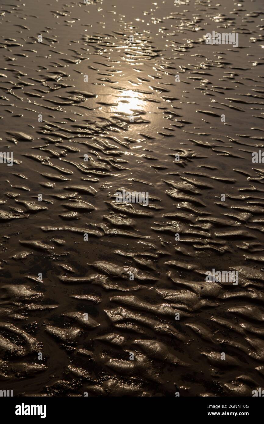 Sunlight reflected in wet sand hi-res stock photography and images - Alamy