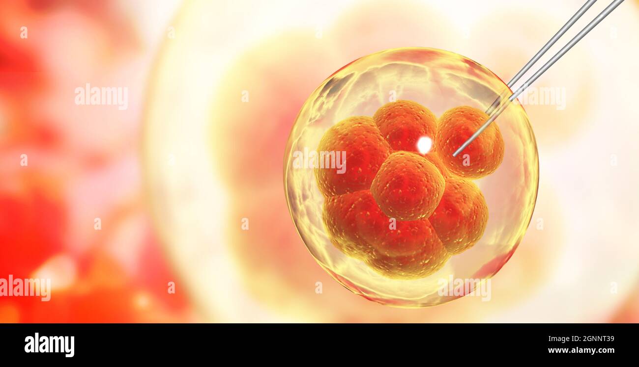 Genetic engineering, GMO and gene manipulation concept. Hi Tech ...