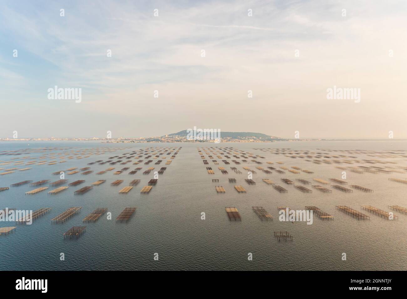 Aerial panorama of oyster tables in Bouzigues on the Thau lagoon, in ...