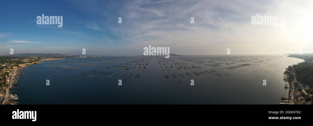 Aerial panorama of oyster tables in Bouzigues on the Thau lagoon, in ...