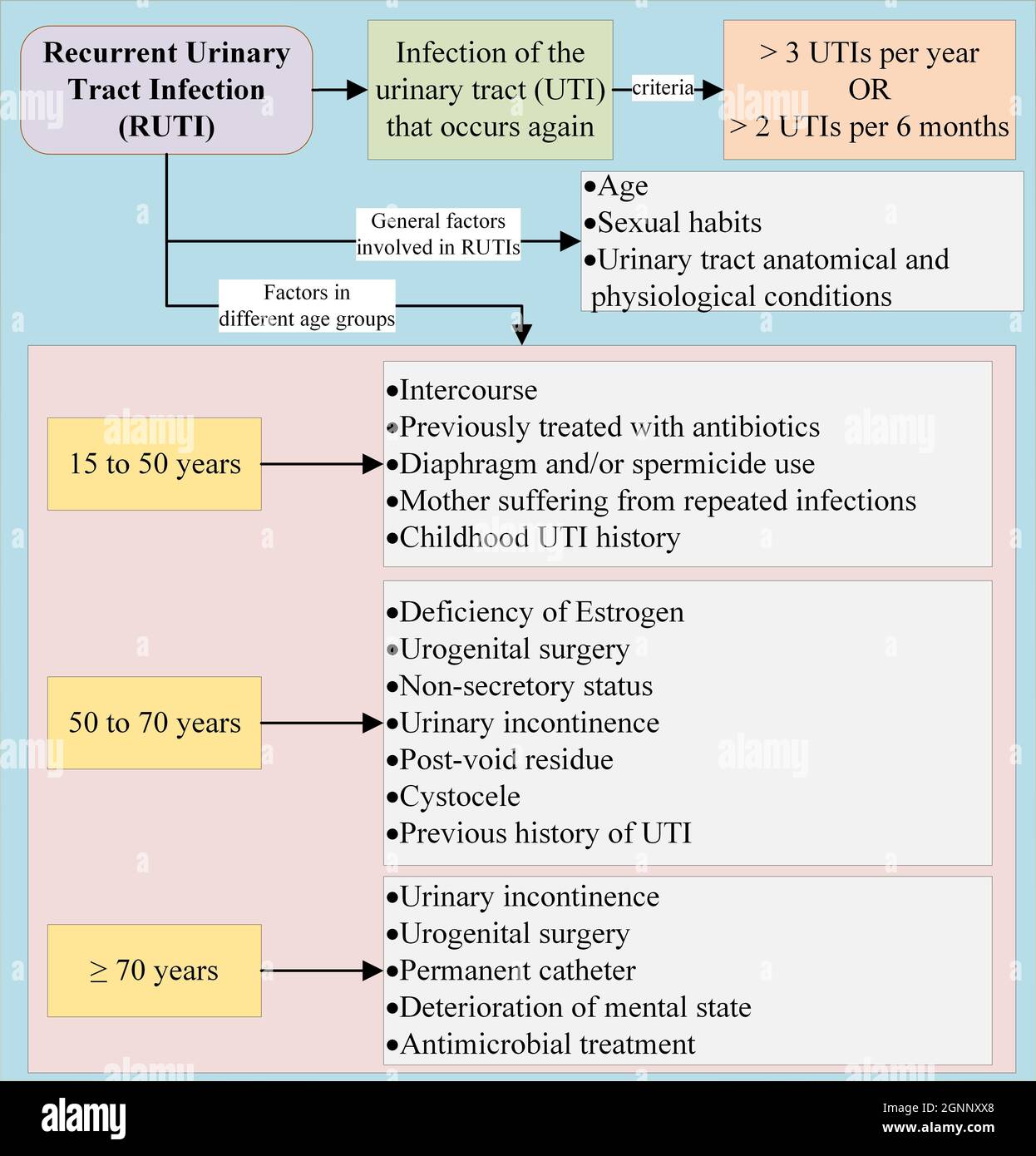 Factors involved in recurrent urinary tract infection (RUTI Stock Photo ...