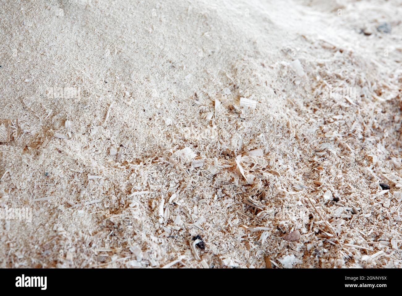 Sawdust or wood dust texture background. Close up view Stock Photo - Alamy