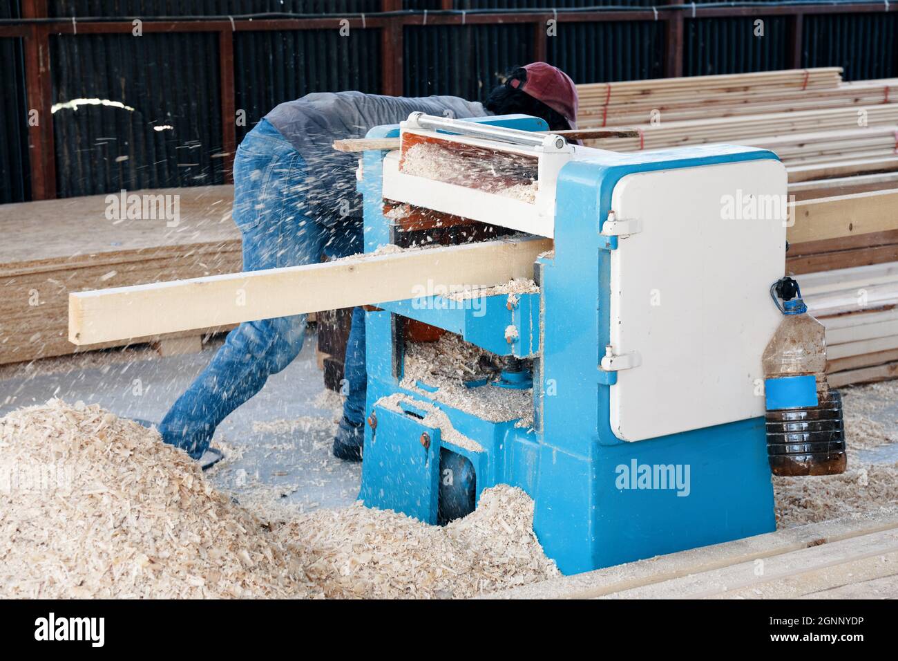 A wood plate passing through the thickness planer machine in a ...