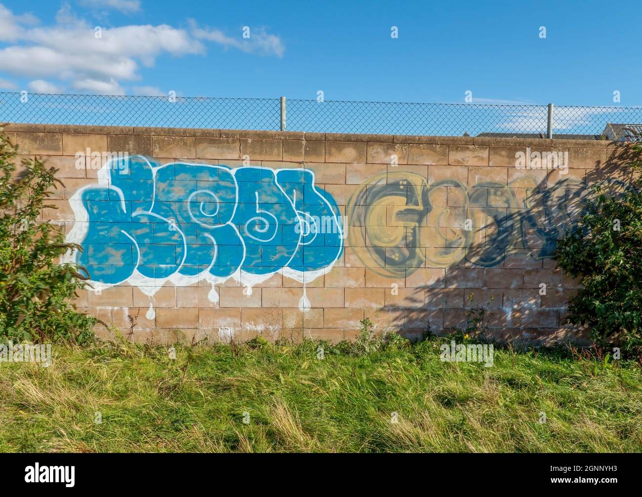 Graffiti / Street Art by a local artist on a wall in Newhaven ...