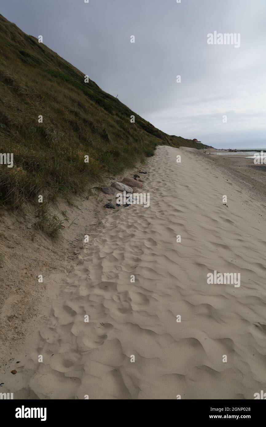 Vertical shot of a grassy and sandy landscape at the beach near Rubjerg ...