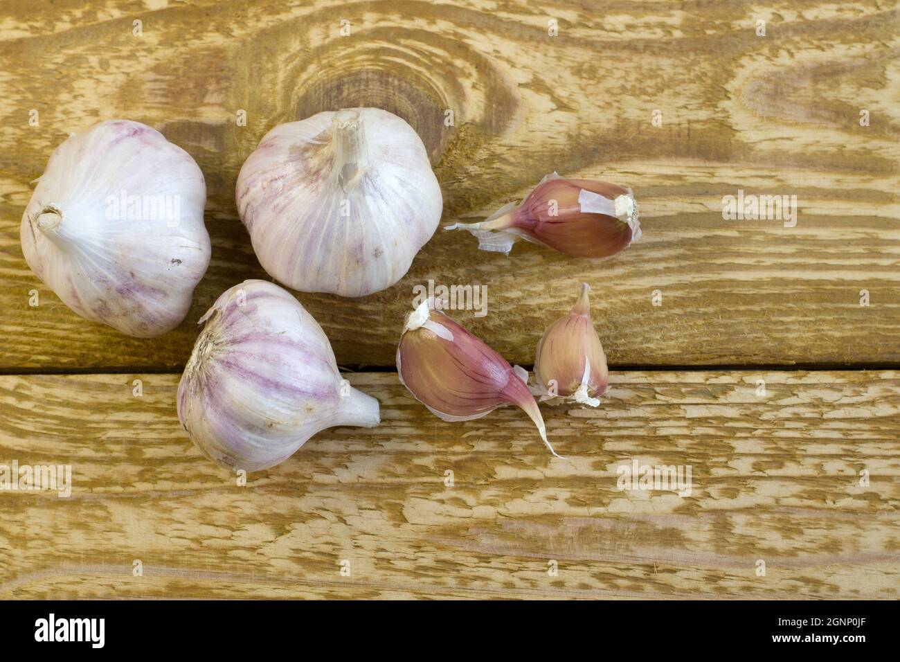 Dried garlic on glass plate close up flat lay photo on brown textured ...