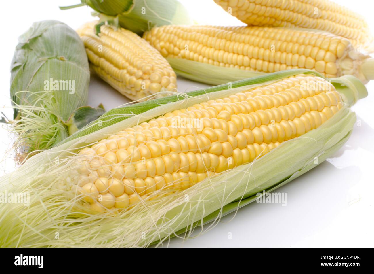 Fresh corn cob, isolated on white Stock Photo - Alamy