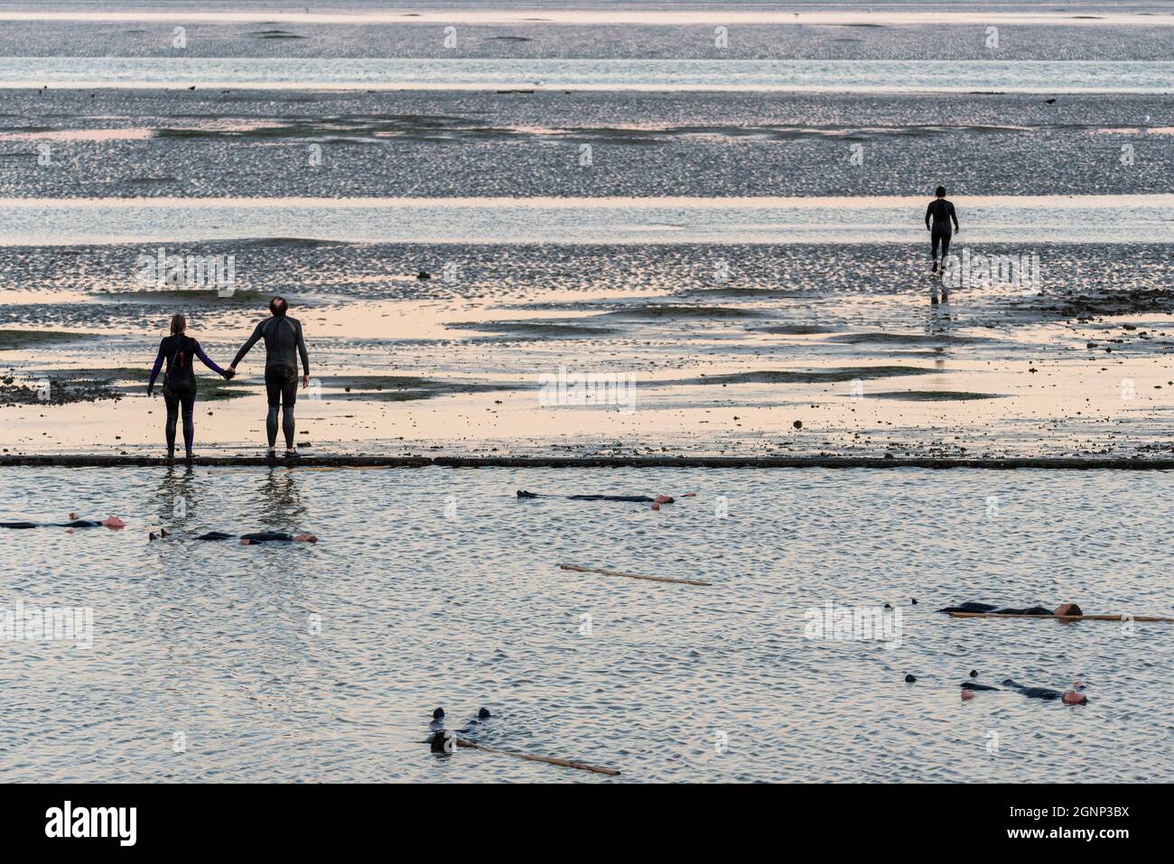 Artistic performance in the Thames Estuary by the Arbonauts at dusk to ...