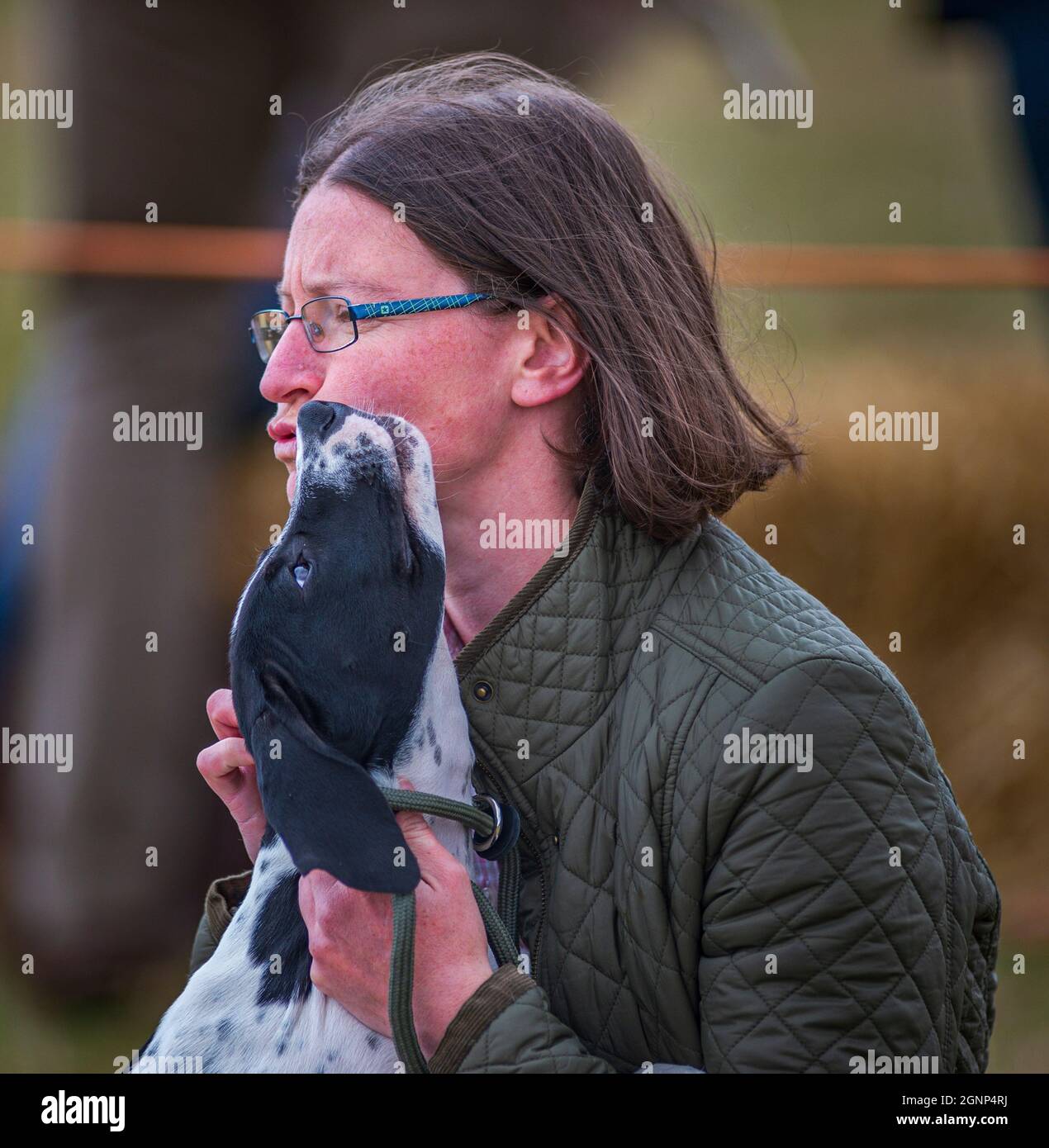 A young Pointer with its handler in the show ring at a country dog show ...