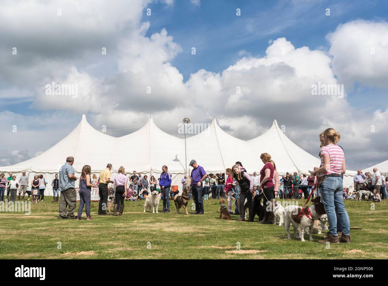Dog show at Appleby show, Appleby-in-Westmorland, Cumbria Stock Photo ...