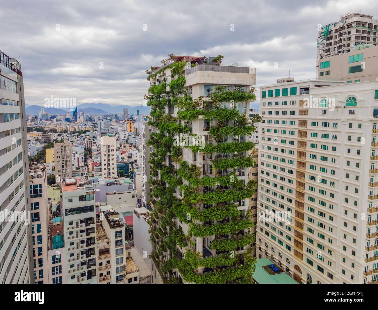 Eco architecture. Green cafe with hydroponic plants on the facade ...